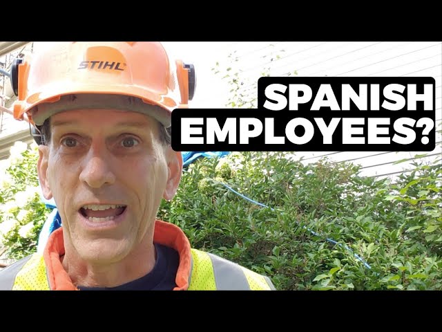 Construction Worker In Spanish