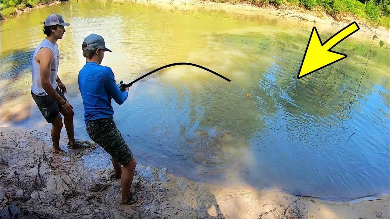 We THOUGHT IT WAS A TURTLE!! (150 LBS) - YouTube