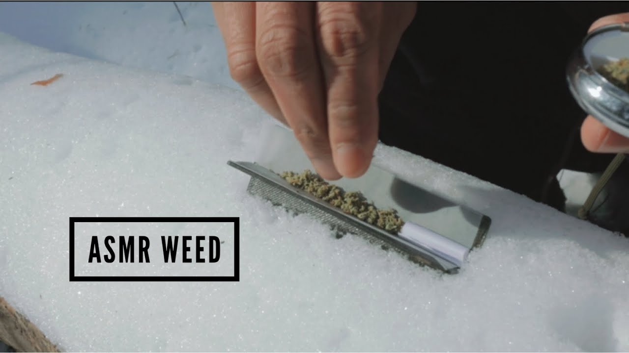 ASMR WEED - How to roll a joint in a snowy forest - YouTube