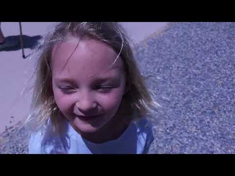 Zayia found an Indian 4-spot location for $8 american dollar$..