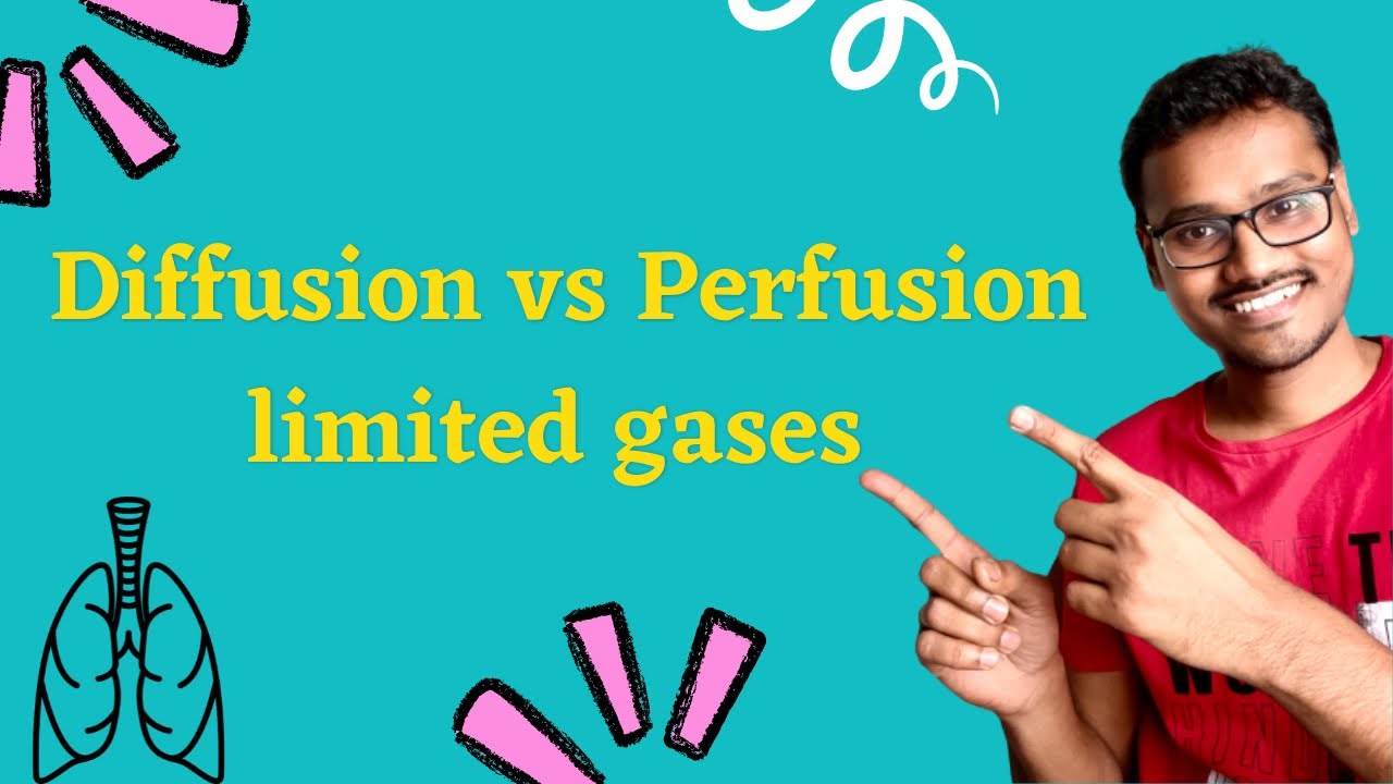 Diffusion vs Perfusion limited Gases - YouTube