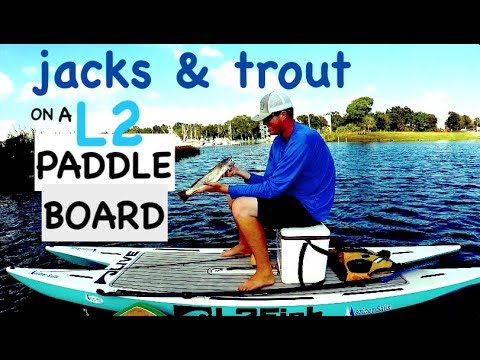 "JACKS & TROUT ON PADDLE BOARDS" L2fish - Pensacola Florida - YouTube