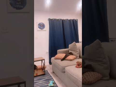 Adelina  Nora   #live #livestream