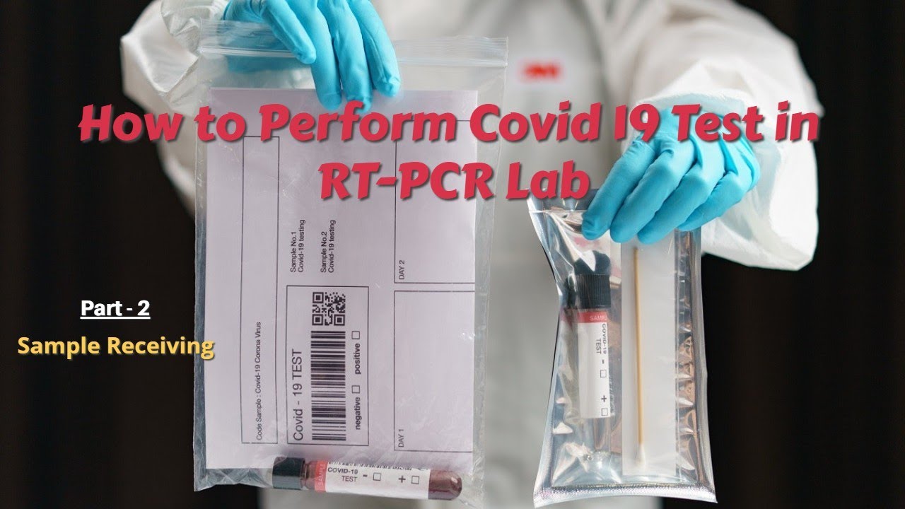 How to Perform Covid 19 Investigation in RT-PCR Laboratory | Sample ...