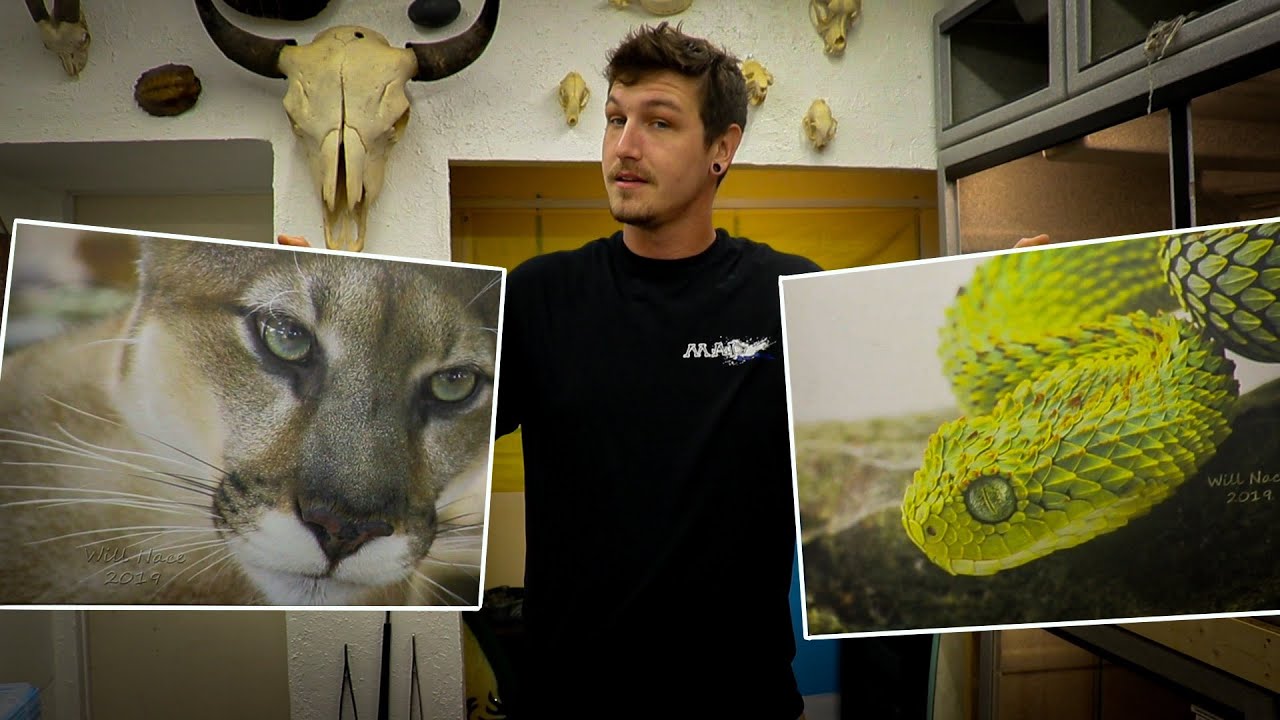 YOU DON'T WANT TO MISS THIS! |WILL NACE - YouTube