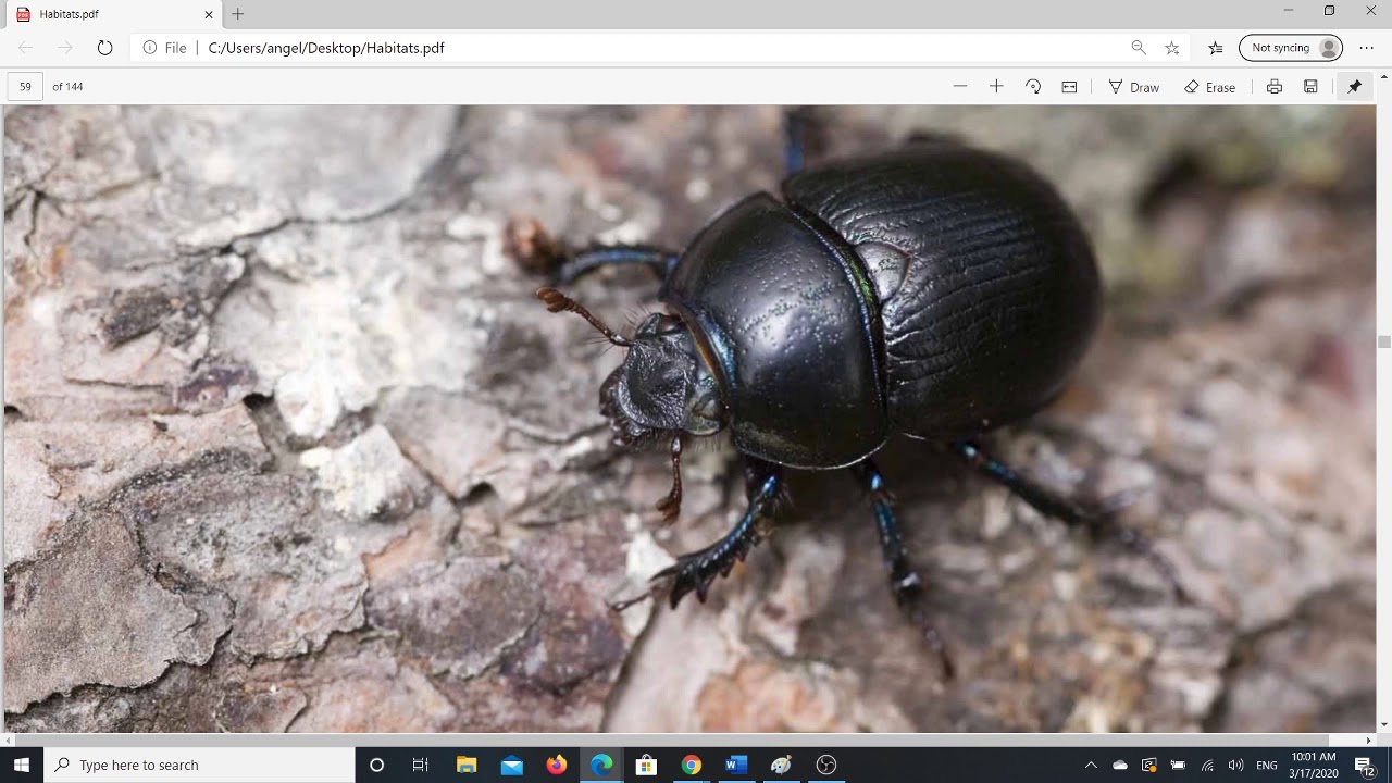 CKLA | Listening and Learning | Domain 8 Lesson 5 | Animals and ...