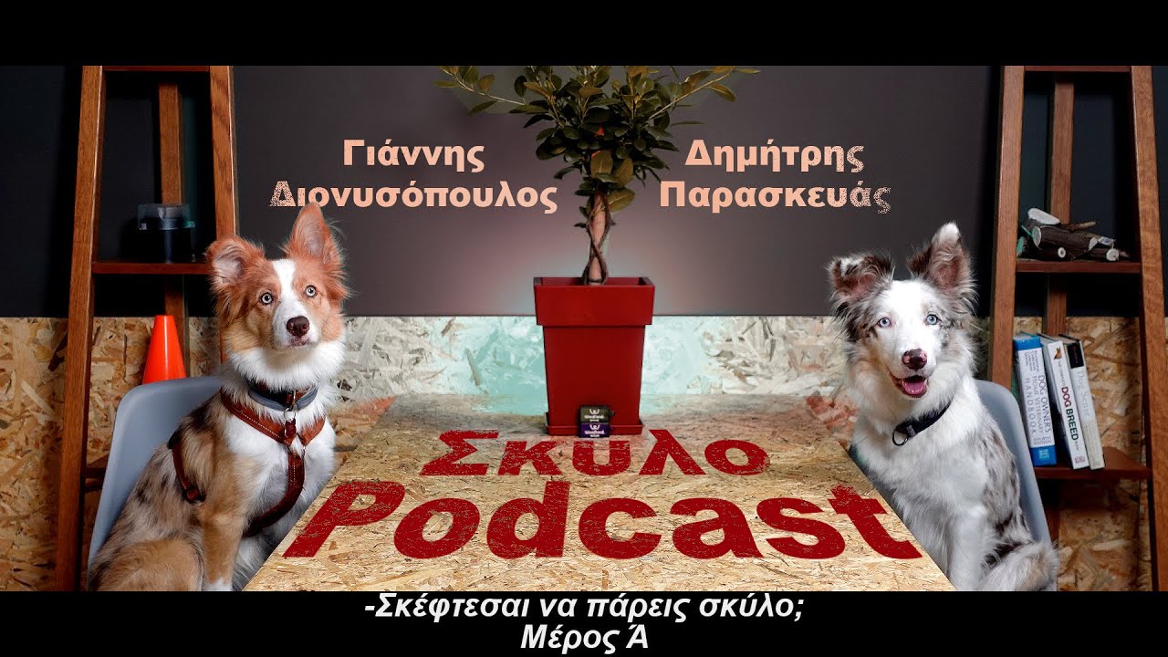 Σκέφτεσαι να πάρεις σκύλος Μέρος Α΄ | ΣκυλοPodcast 2 - YouTube