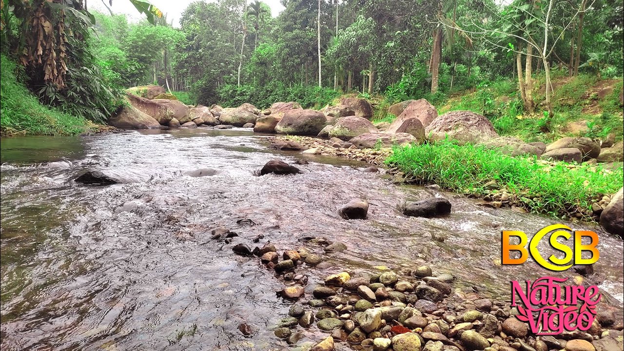 4K Nature's Lullaby: Soft River Flow Sounds | Sonidos Suaves del Fluir ...