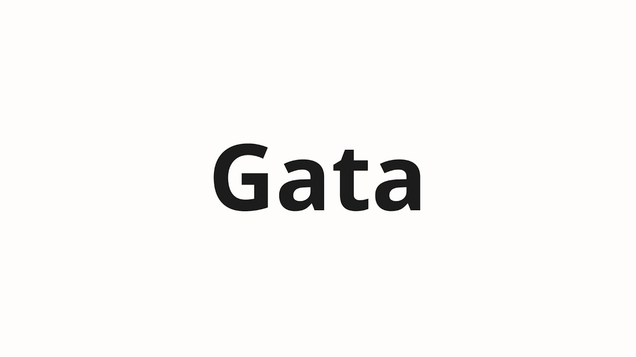 Gata Logo