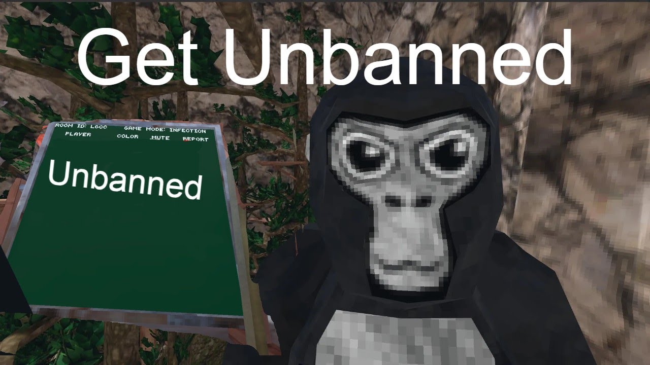How to Get Unbanned In Gorilla tag - YouTube