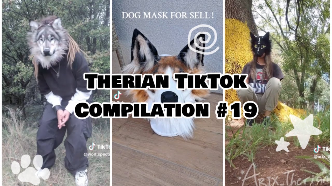 Therian TikTok Compilation #19 - YouTube