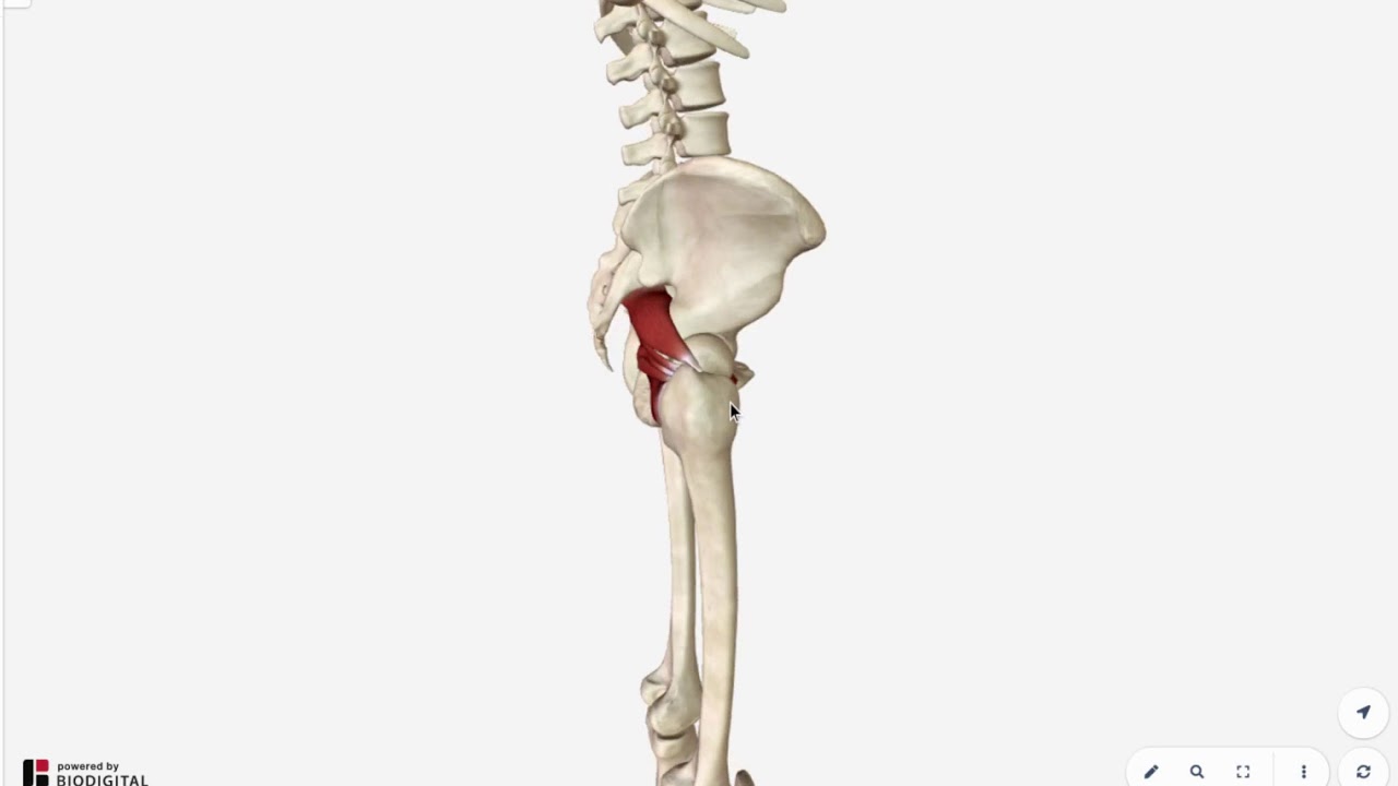 Deep Rotators - YouTube