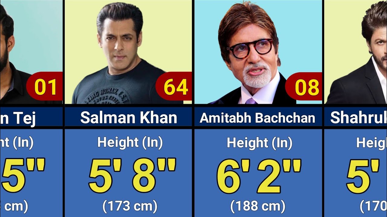 Height of Famous Indian Bollywood Actors🔥 |Data Exhibition| - YouTube