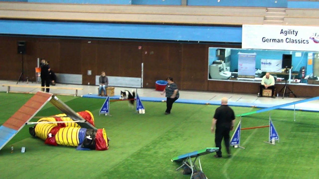 AGILITY GERMAN CLASSICS 2011 Lif & Esther A-Lauf - YouTube