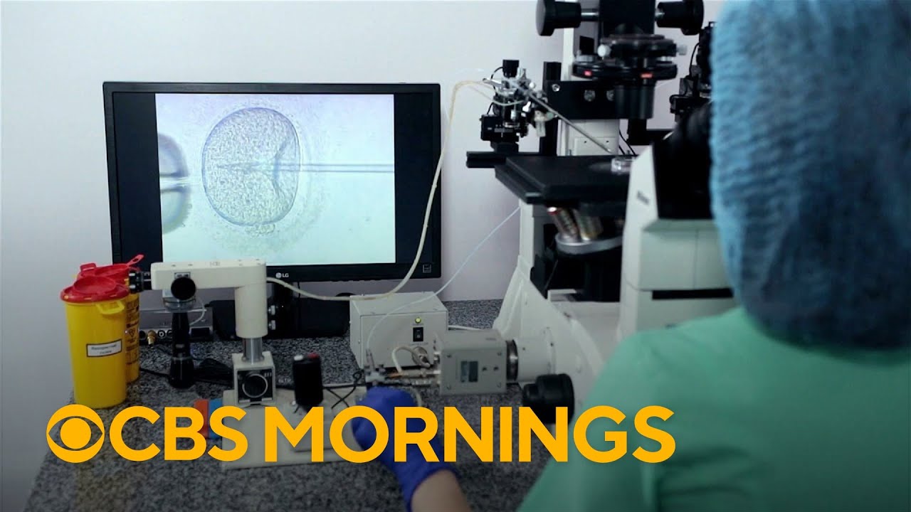 Alabama Supreme Court ruling on frozen embryos sparks IVF concerns ...