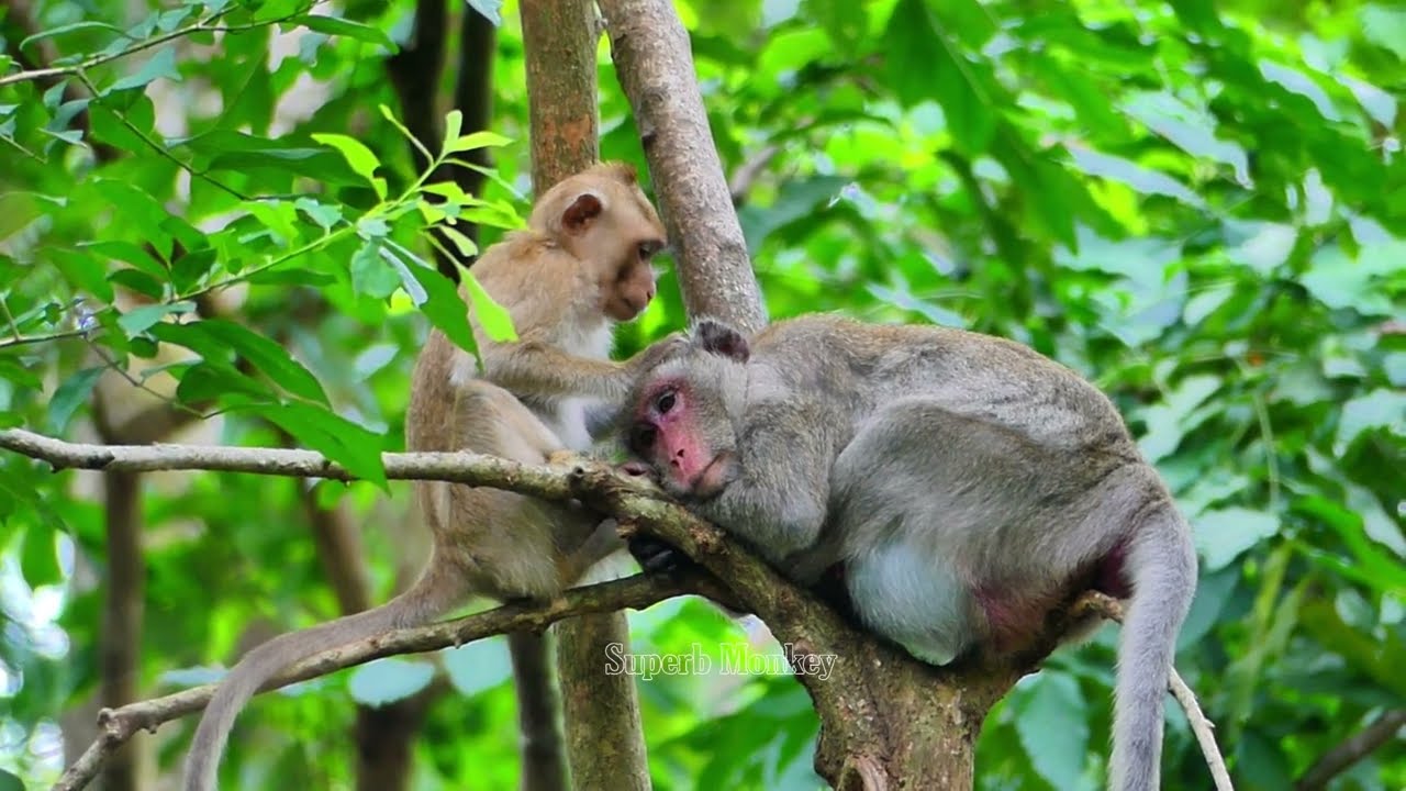 O/h..., Jonna can't motion while Jane gives j_usticee instead when Jazzy is j_ealouss of her ...