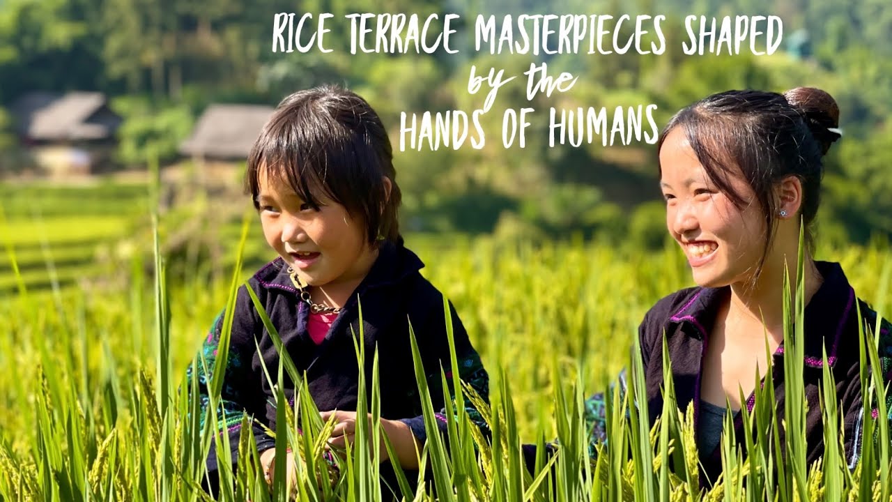 Sapa Rice Terraces - Masterpieces shaped by the hands of Humans - YouTube
