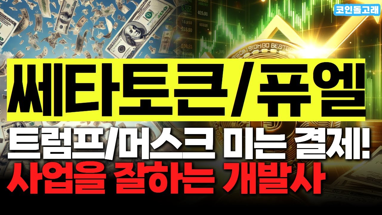 쎄타퓨엘 쎄타토큰 코인 분석 트럼프 머스크가 미는 결제 사업 확실히 사업을 잘하는 개발사 쎄타퓨엘 쎄타퓨엘코인