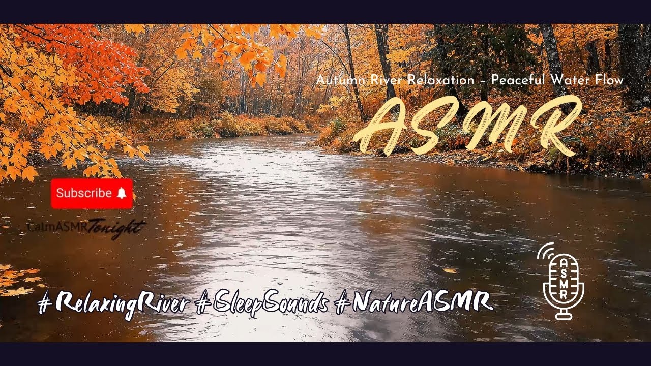 Autumn River Relaxation – Peaceful Water Flow in Fall Forest ASMR - YouTube