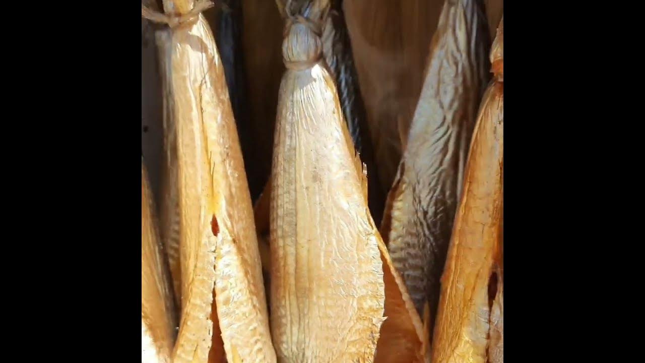 Каспийский залом - YouTube