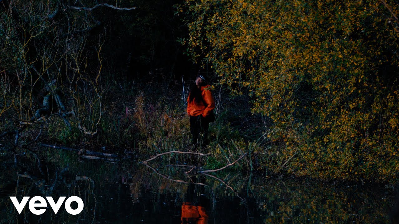 Cristale - Antisocial (Official Video) Realtime YouTube Live View ...