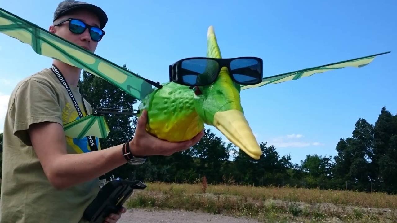 Best Flight Footage of an Ornithopter, pterodactyl parkflier from HK ...