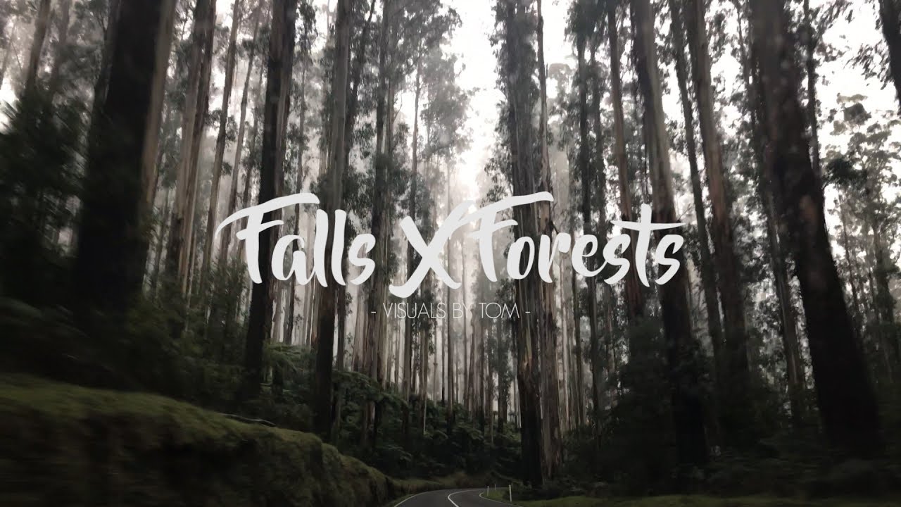 Falls X Forest | Visuals By Tom - YouTube
