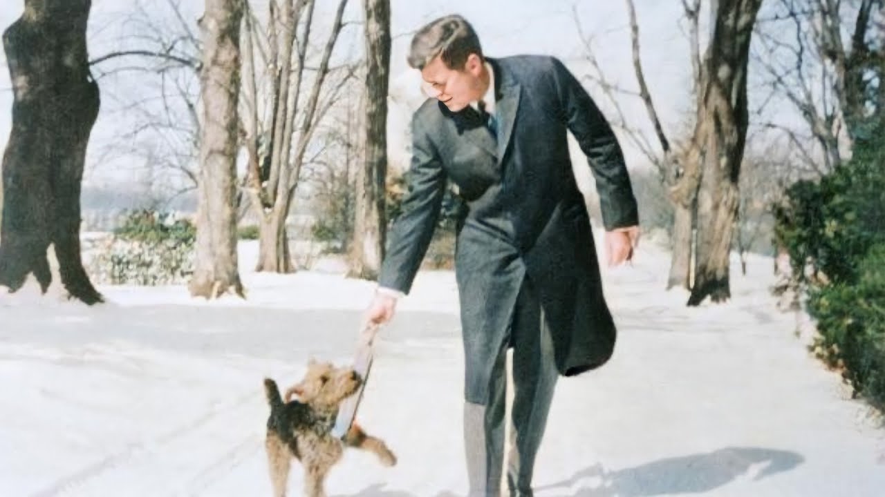 Every Pet In The Kennedy-Era White House - YouTube