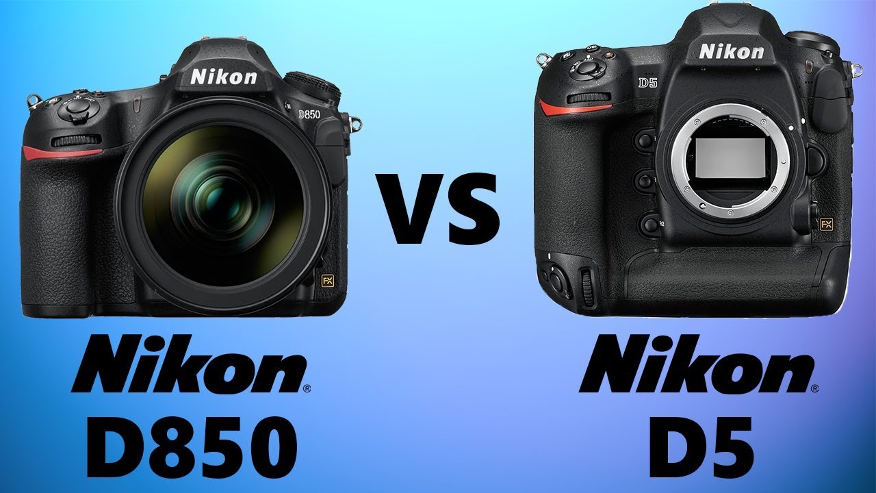 Nikon D850 vs Nikon D5 - YouTube