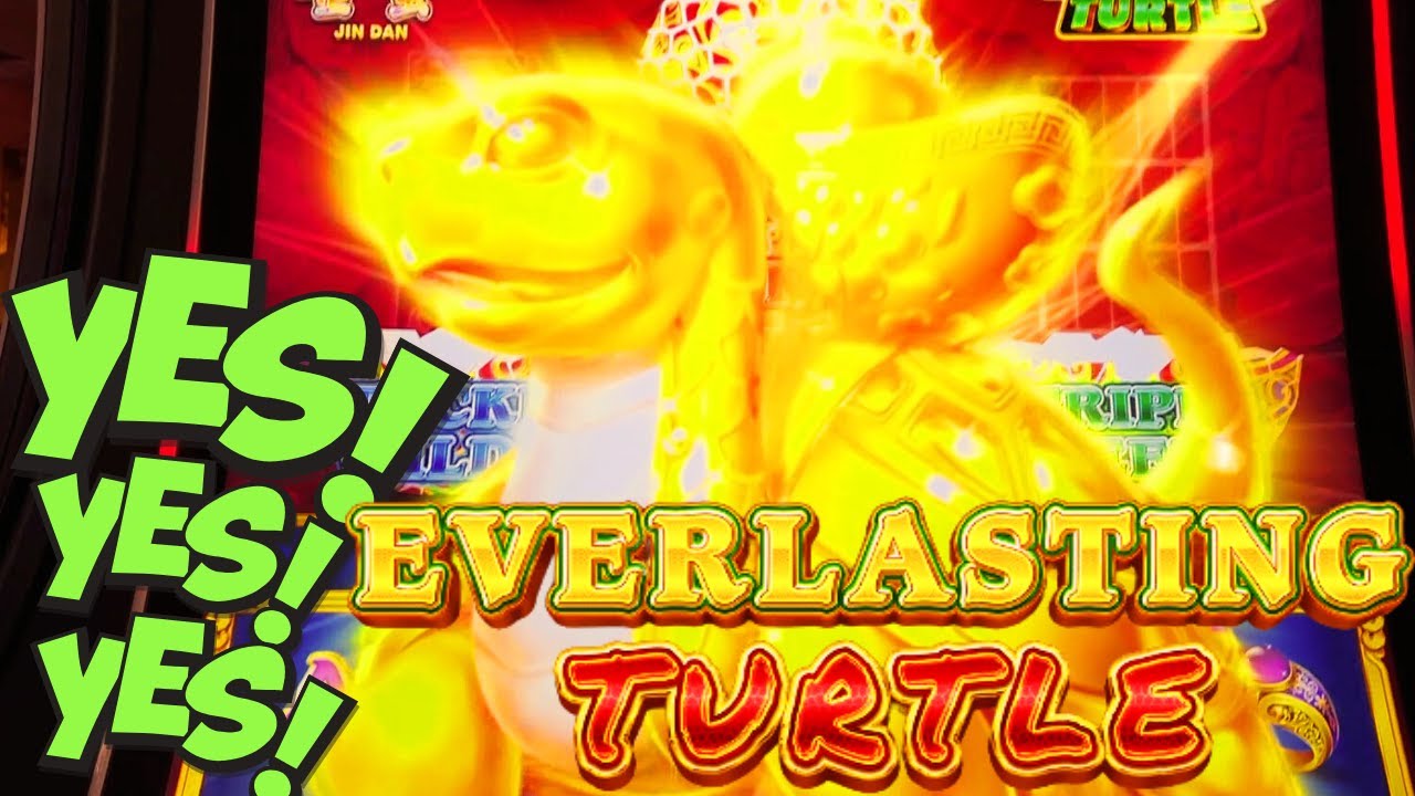 ONE GOOD TURTLE!! 🐢 EVERLASTING TURTLE Slot Machine (IGT) - YouTube