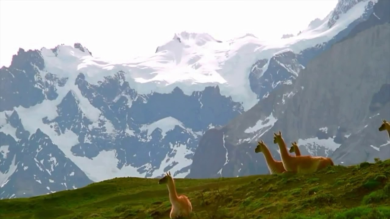 Worship is the act of ascribing ultimate value to something - Tim ...