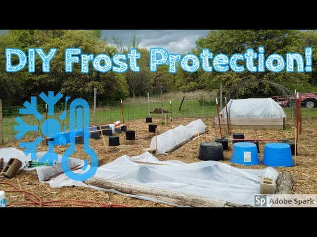 Homemade Frost Protection