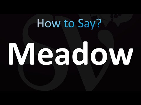 How to Pronounce Meadow (Correctly!) - YouTube
