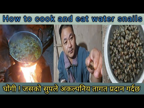 Cooked Water Snail(Ghongi) And Ate It Today/घोंगी स्वादिष्ट साथै ...