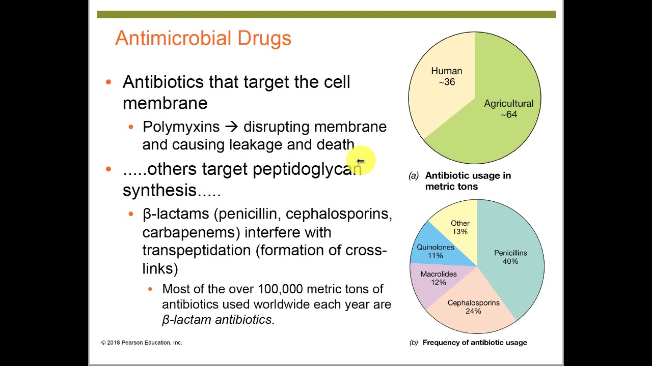 Lec 6- Antibiotic Targets and Antibiotic Resistance - YouTube