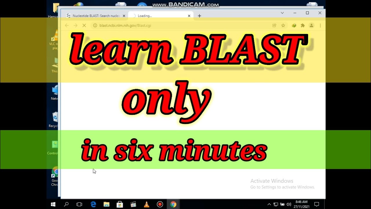 how to do blast in NCBI||bioinformatics practical blast||in easy way# ...
