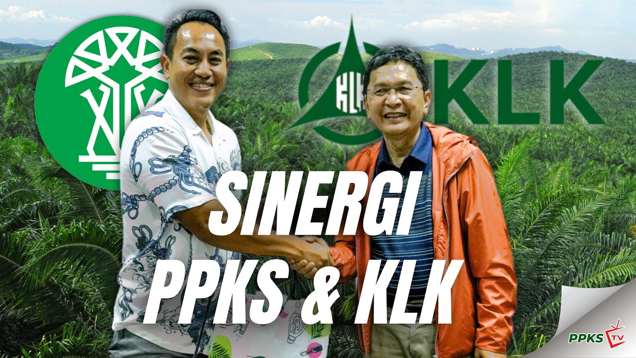 Sinergi Sawit Internasional : PPKS dan KLK Group Malaysia - YouTube