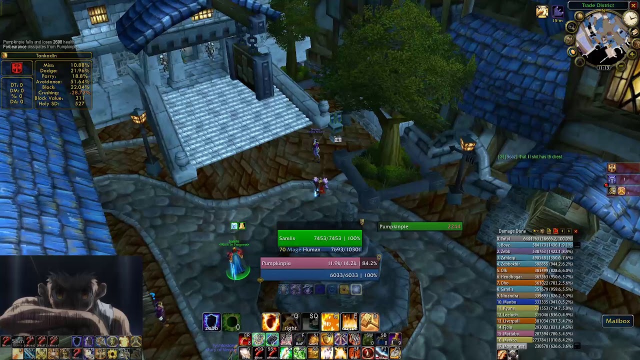 [WoW TBC] WIP on SSC - Prot Paladin PoV - YouTube