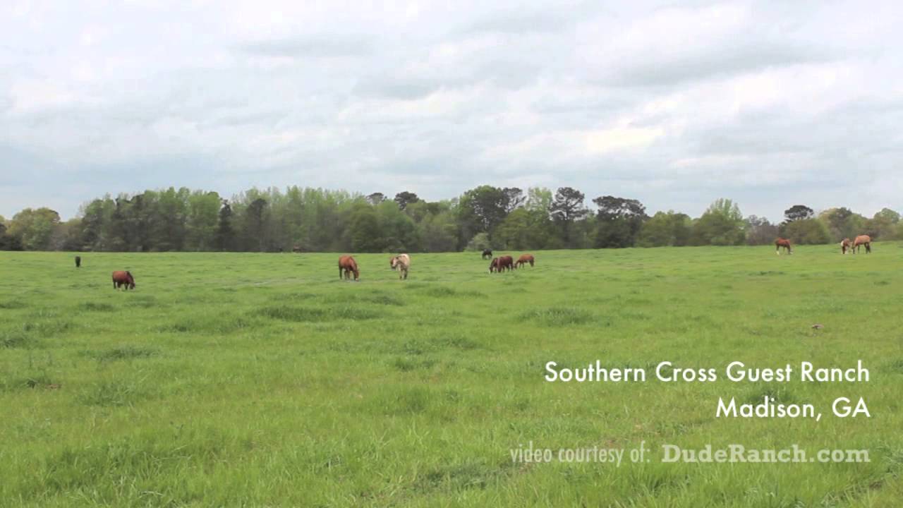 Southern Cross Guest Ranch | Video Vignette | Madison, GA - YouTube
