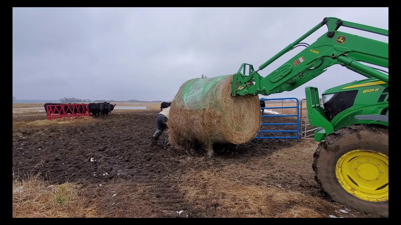 Putting out Hay | Livin' On The Farm - YouTube