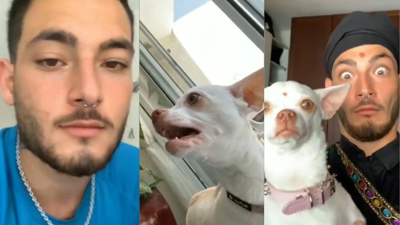 niki ozeri happy moments/mreviatar niki happy moments/mreviatar tiktok ...