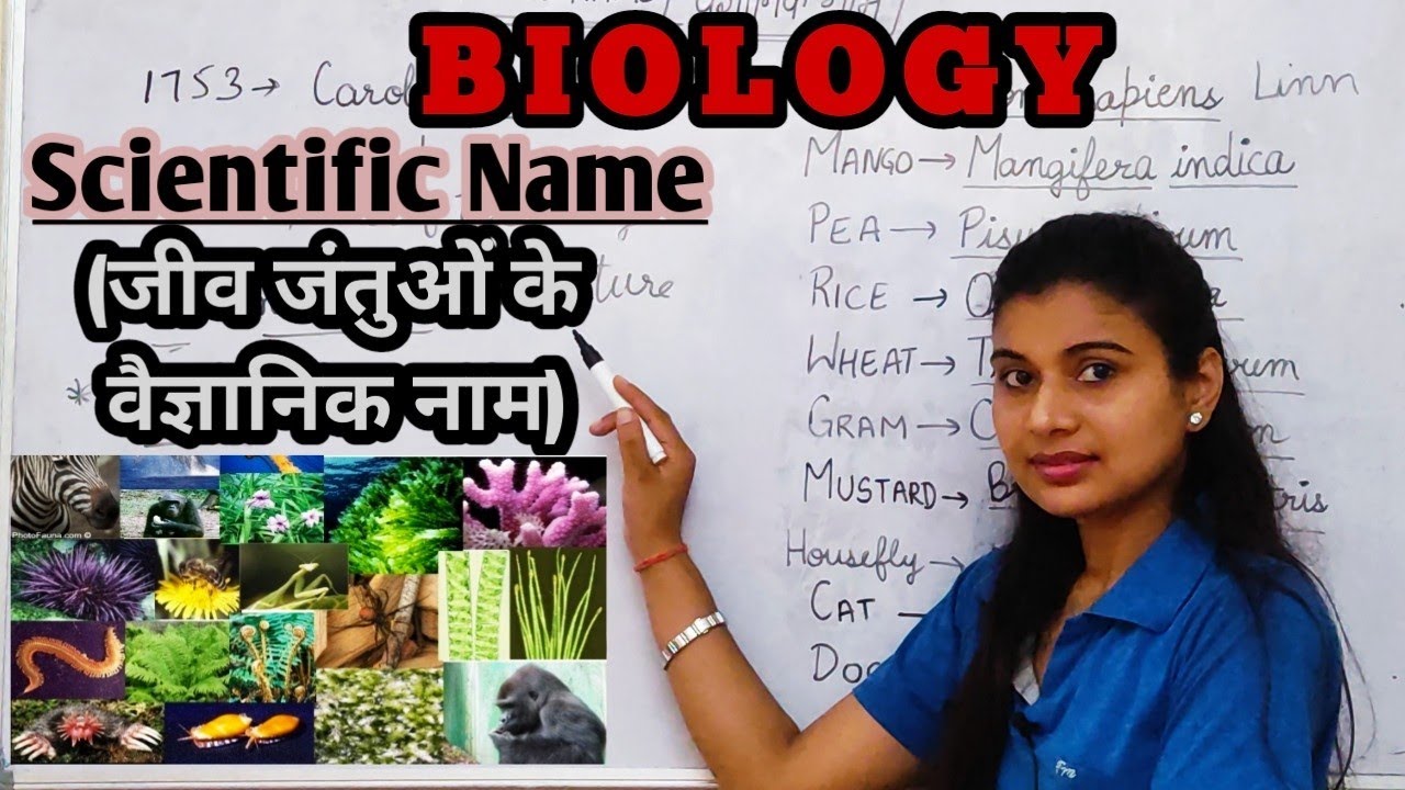 Biology | Scientific Name | Binomial Nomenclature जीव जंतुओं के ...