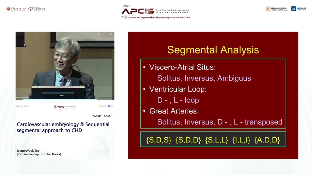 Cardiovascular embryology & Sequential segmental approach to CHD - YouTube