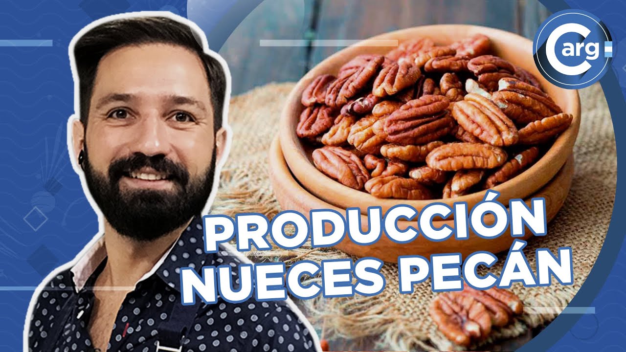 CÓMO SE PRODUCE LA NUEZ PECÁN - YouTube