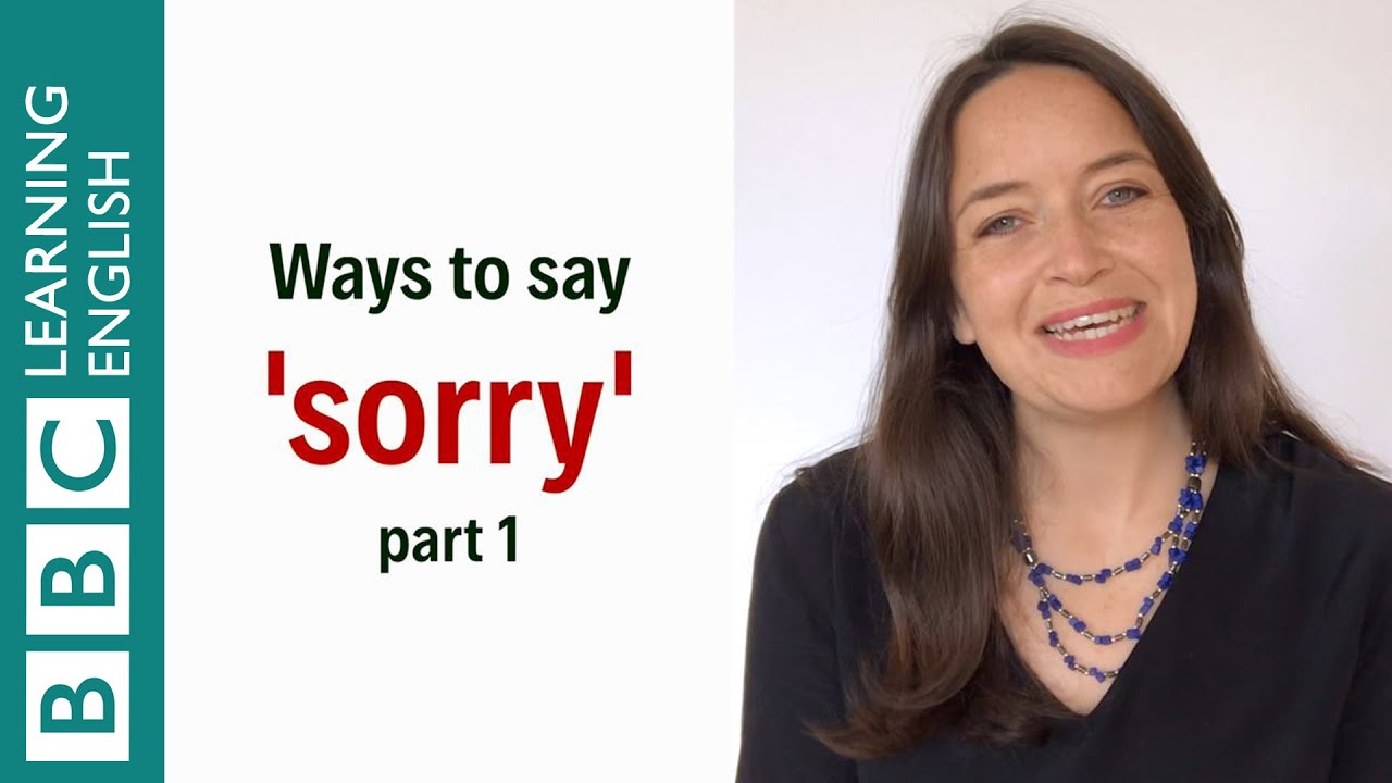 Ways To Say sorry Part 1 English In A Minute YouTube