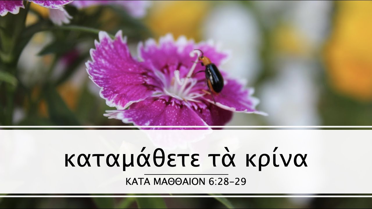 καταμάθετε τὰ κρίνα・Consider the Lilies (Reconstructed Koine Greek ...