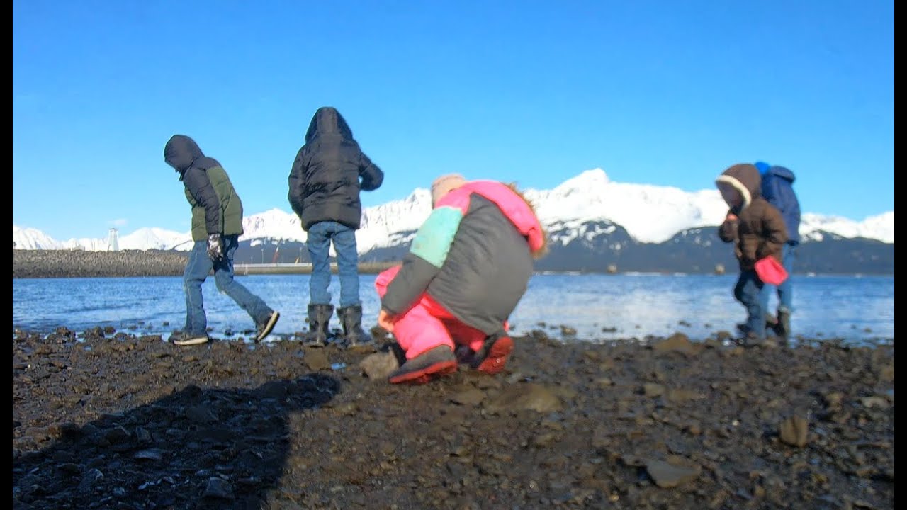 Seward Alaska, Beachcombing, Resurrection Bay, Part 2 - YouTube