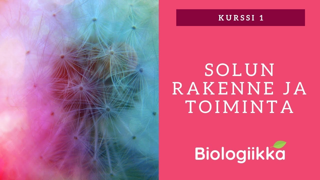 Elämän kaupunki - Solun rakenne ja toiminta - YouTube