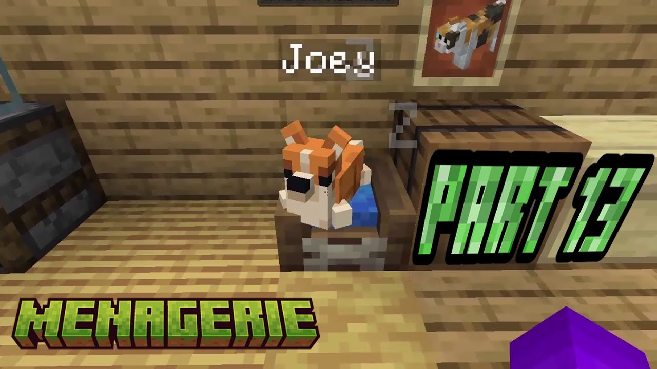 Thank You For The Corgi (Modded Minecraft Part 13) - YouTube