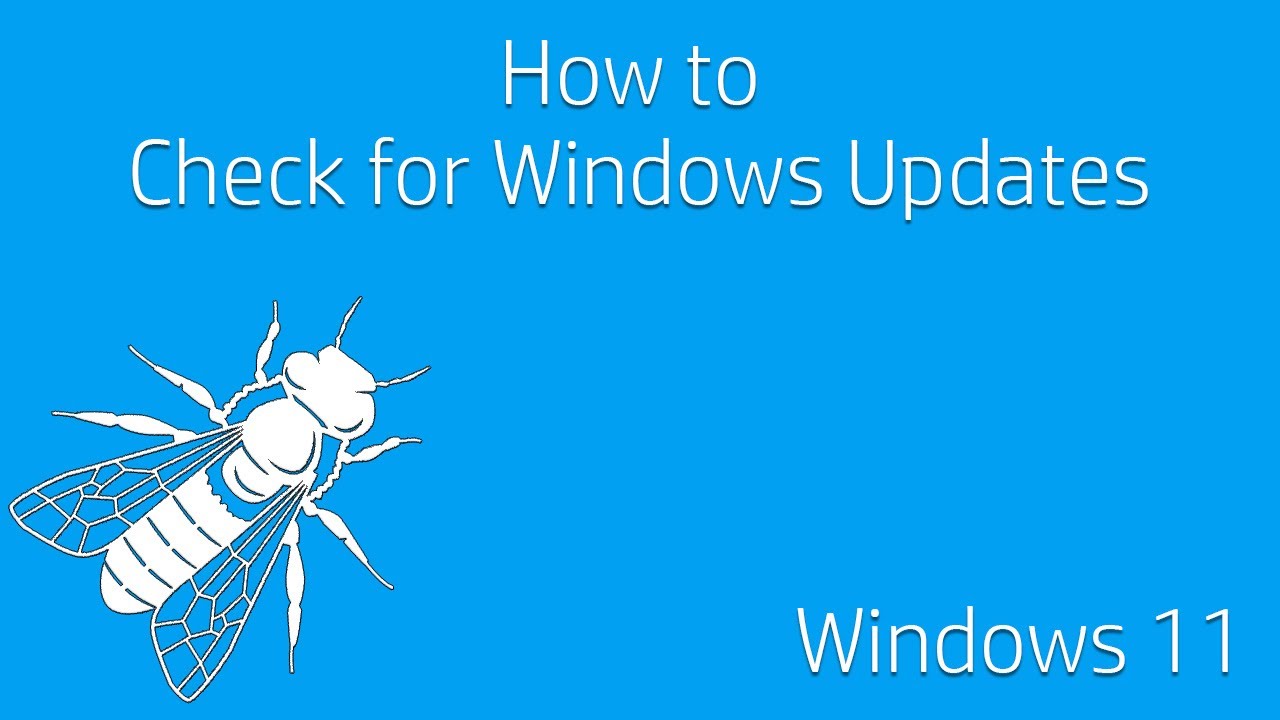 Windows 11 How To Check For Updates YouTube Windows 11 How To Check For Updates YouTube